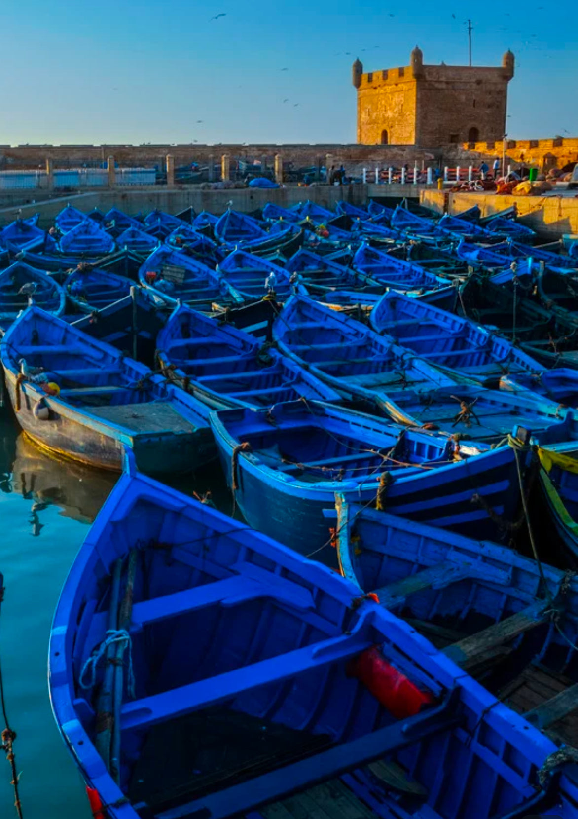 Essaouria Travel Guide – Darragh O Sullivan